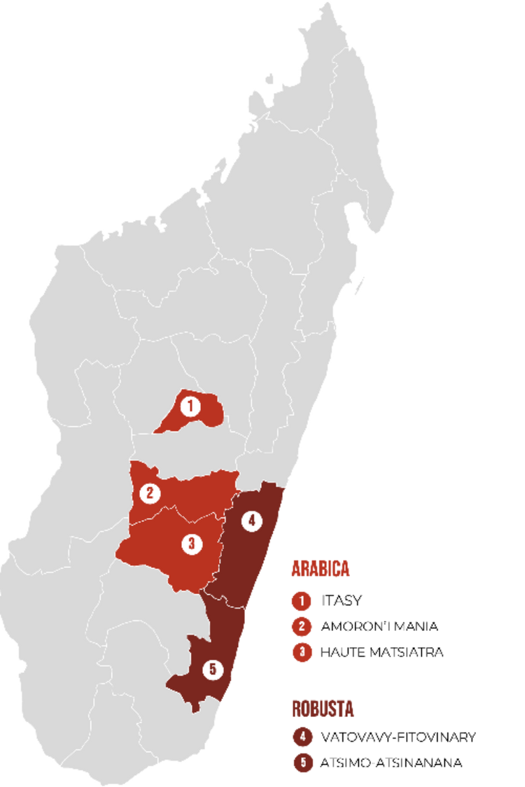 About MCC Coffee – Madagascar Coffee Company