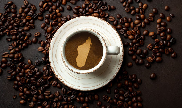 Madagascar Coffee Company: Specialty Coffee: Sourced with Ethics